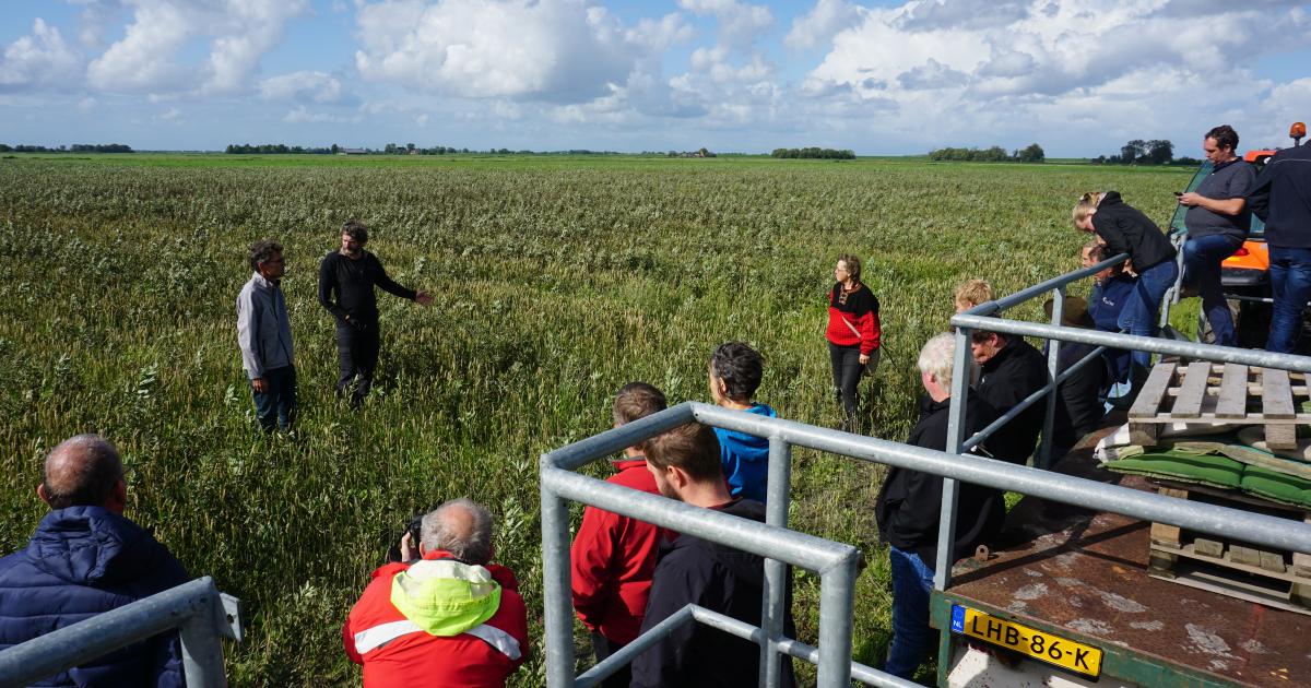 Voorproefje van de veldboon: verslag van een middag in de mengteelt ...